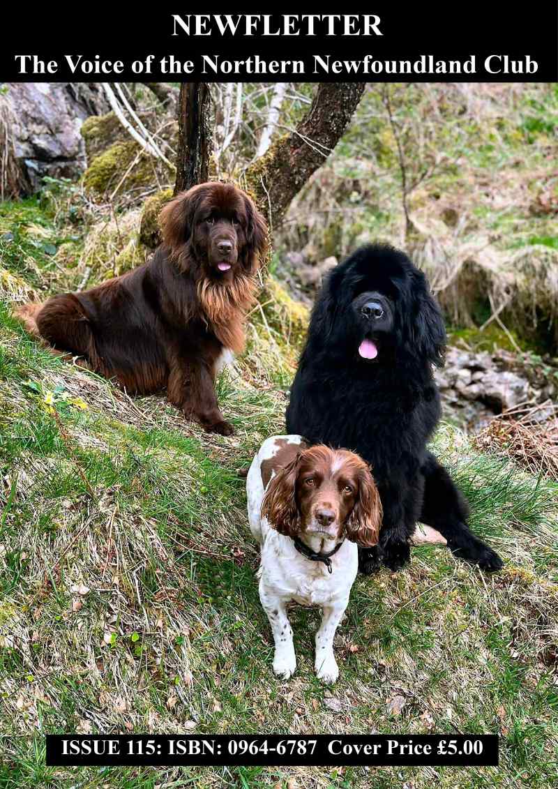 Northern Newfoundland Club – A RKC Registered UK Representative Breed Club